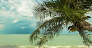 Koh Samui Weather by Month: A Guide to the Best Travel Times