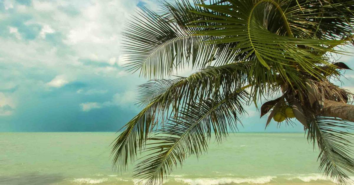 Koh Samui Weather by Month: A Guide to the Best Travel Times