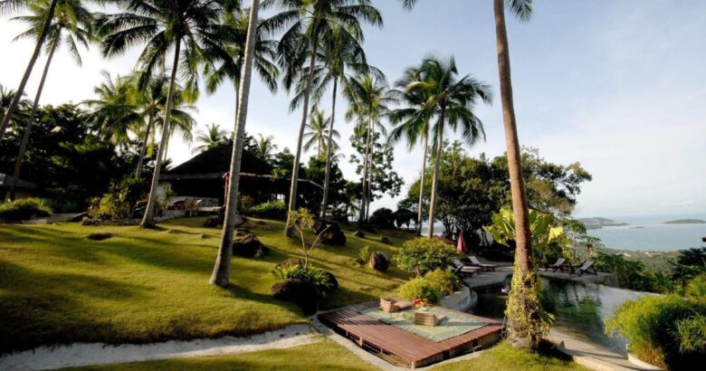 Jungle Club Koh Samui: A Hidden Gem with Stunning Views